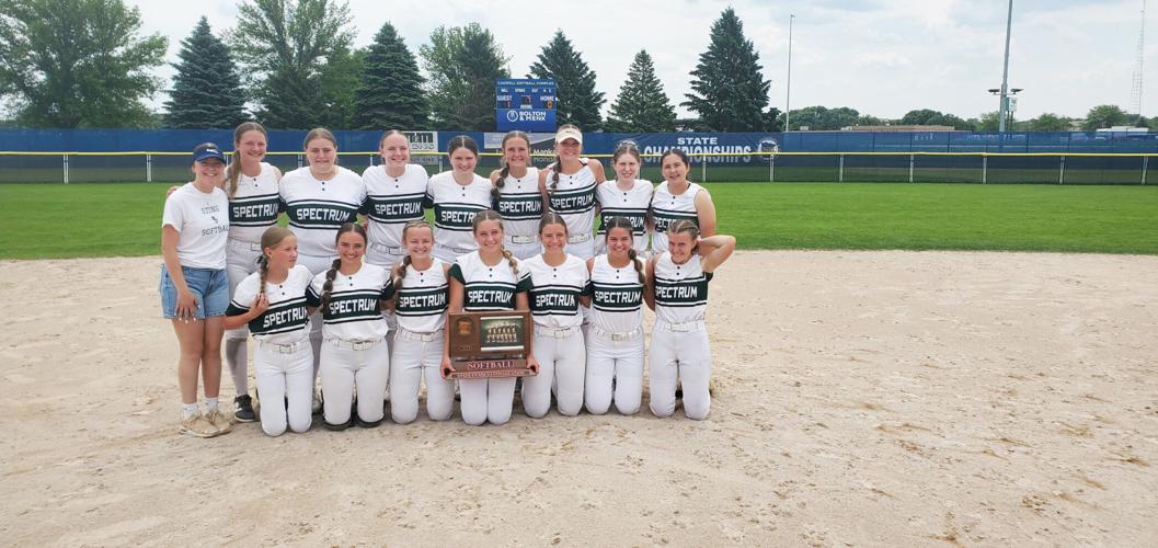 Sting softball finishes historic season with fifth-place finish at ...