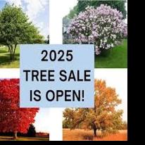 Dakota SWCD Tree Sale open April 24-25 | Free | hometownsource.com