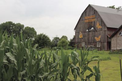 Annual Art Wander puts local artists in spotlight | Community ...