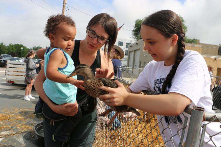 Youngsters delight in animals at Dew Days petting zoo | Farmington ...