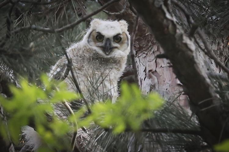 Impression of Blaine spring photo contest winners announced | Blaine ...