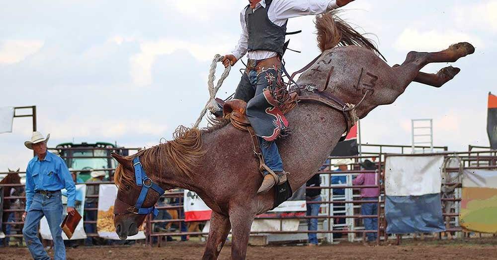 Harding to host first-ever Harding Days | Morrison County Record ...