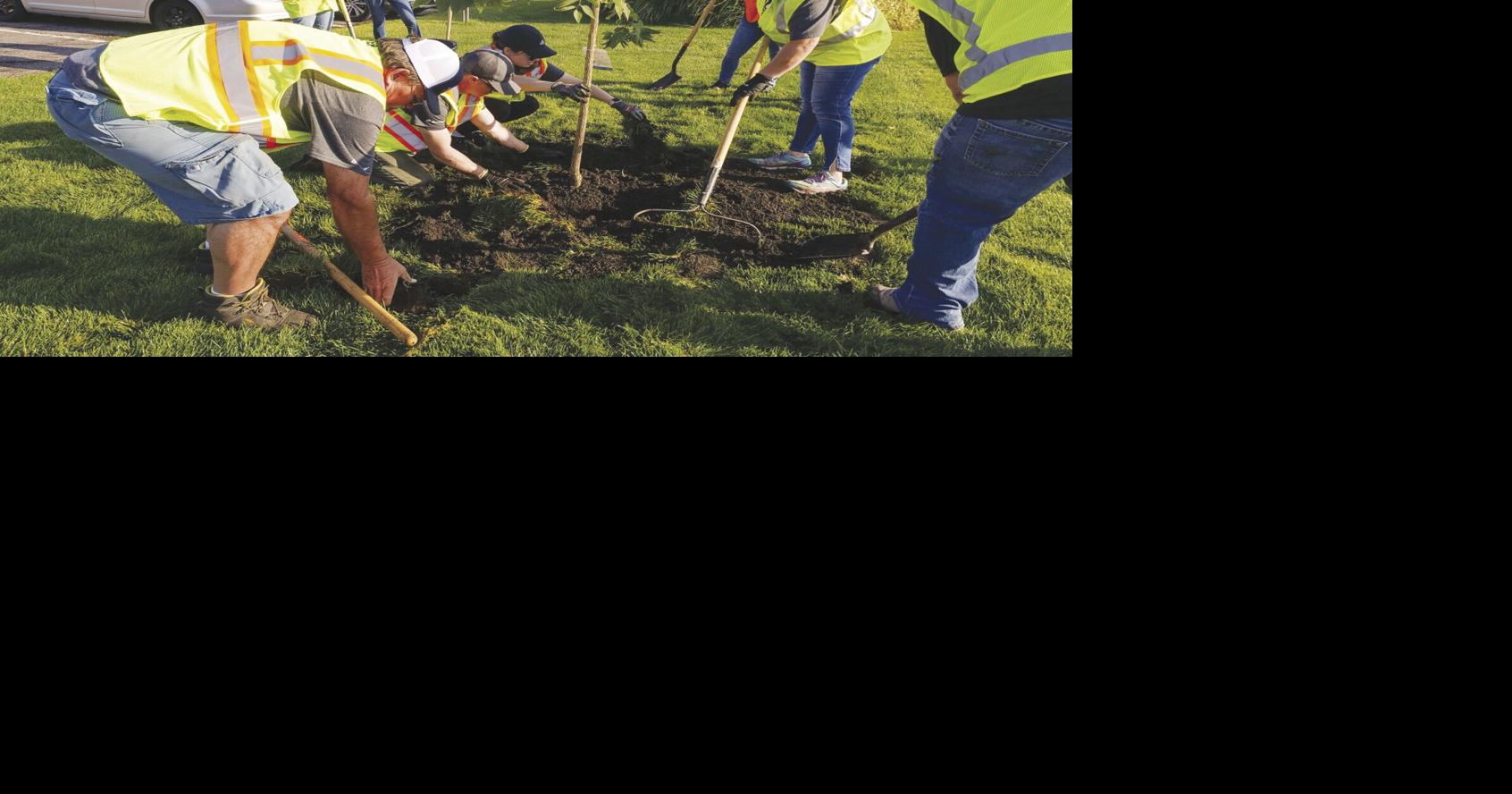 Xcel invites volunteers to plant trees during Day of Service ...