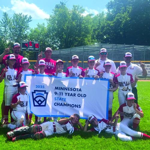 Coon Rapids/Andover 11U Little Leaguers win state | Free ...