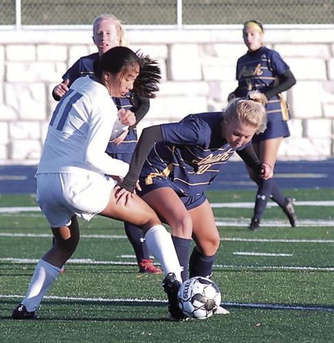 Rosemount teams win Section 3 soccer championships | Sports ...