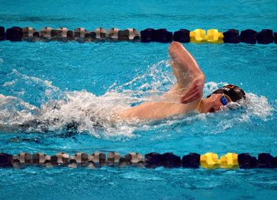 Northfield boys swim & dive earns 2nd place state finish | APG State News | hometownsource.com