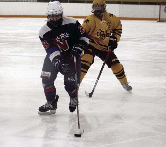 Area hockey teams see season end at sections | Sports | hometownsource.com