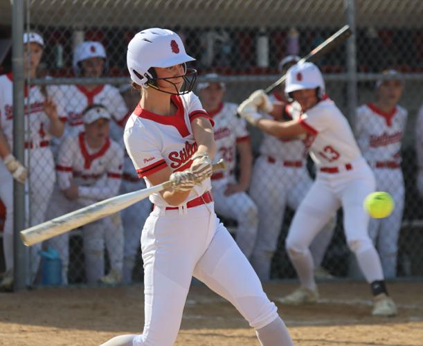 Softball: Ponies top Roseville, Woodbury | Sports | hometownsource.com