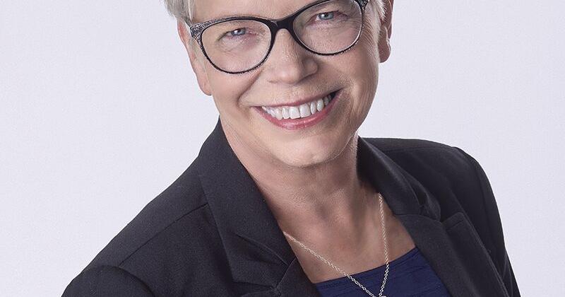 Liz Reyer seeks District 52A state representative seat | Free ...