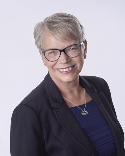 Liz Reyer seeks District 52A state representative seat | Free ...