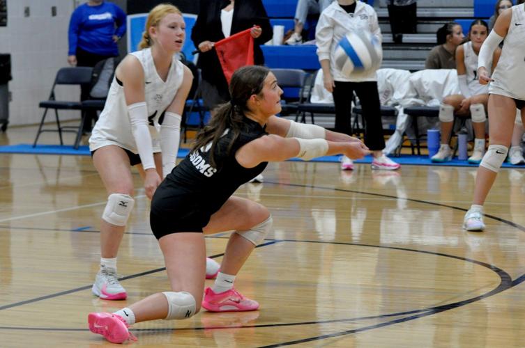 Blossoms fall to Bulldogs in 4 sets in Janesville | APG State News ...