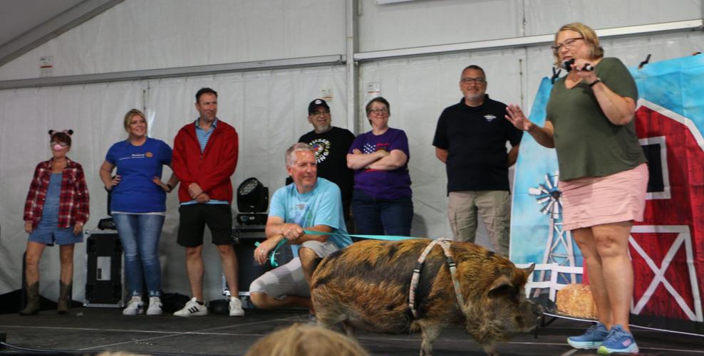 The 2024 Kiss the Pig winner is crowned at Dew Days | Farmington ...