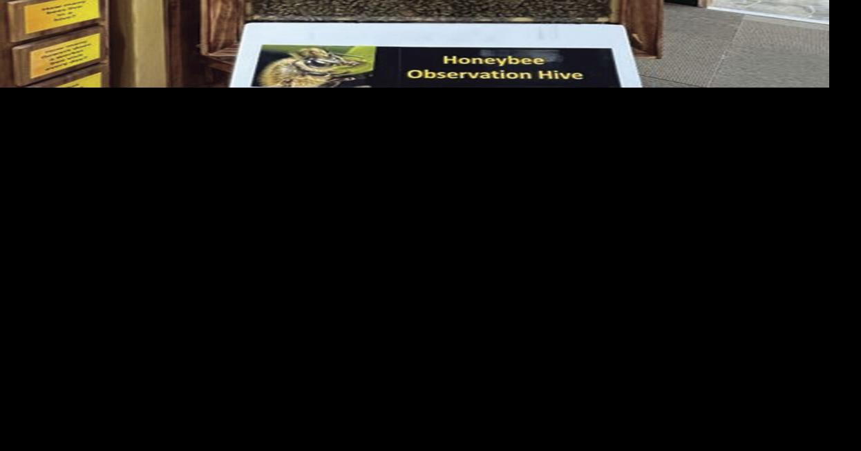 The Bees Knees: Learn basics of beekeeping in Lake Elmo | Lake Elmo ...