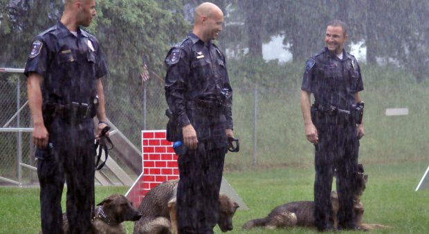 Richfield Police welcome new furry crime fighters | Local News ...