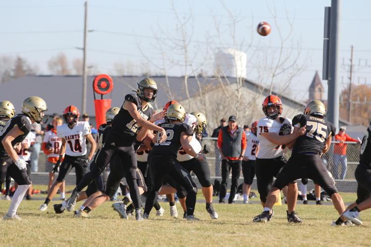 Caledonia dominates St. Charles in section semifinals | Sports ...