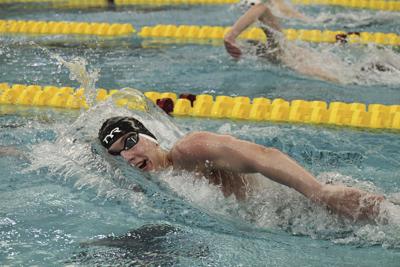 Crimson boys swim and dive take on state tournament | Sports ...