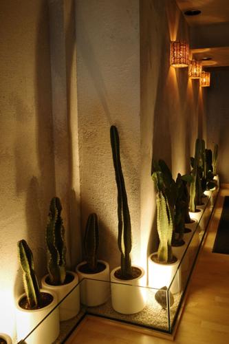 Now open in Wayzata: Daniel del Prado’s Macanda | Local News ...