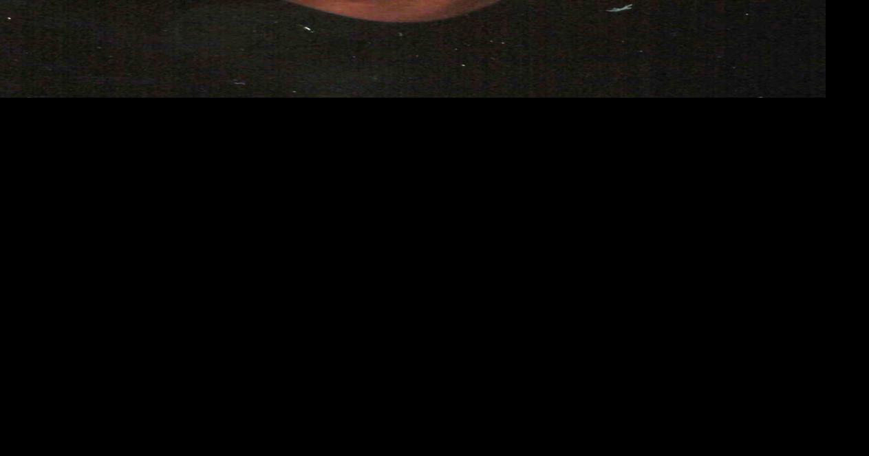 Mark "Puppy" Guelig | Obituaries | hometownsource.com