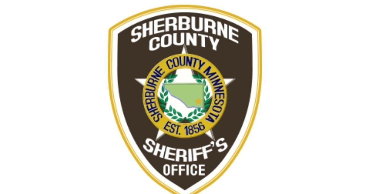 Sherburne County jail bookings: Week ending Jan. 24, 2022 | Sherburne ...