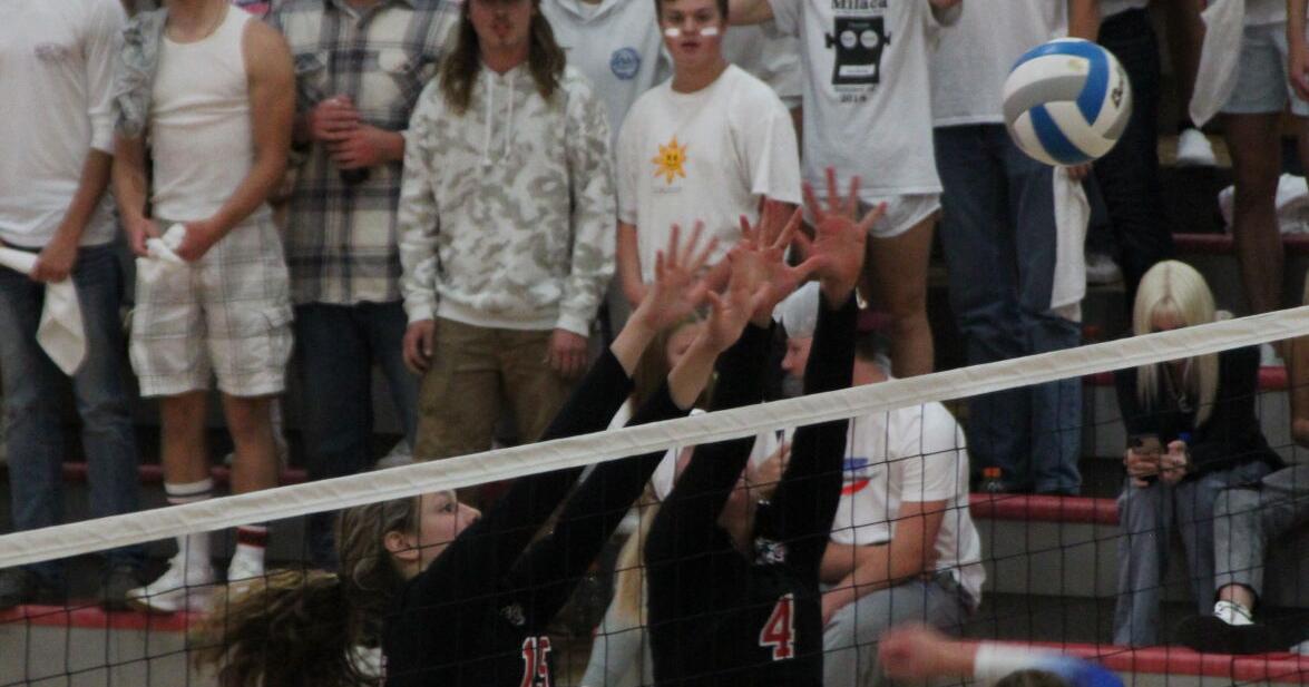 Wolves volleyball goes over Foley, stretch winning streak to four ...