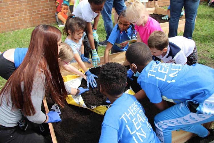 Green learning: University Avenue Elementary students install new ...
