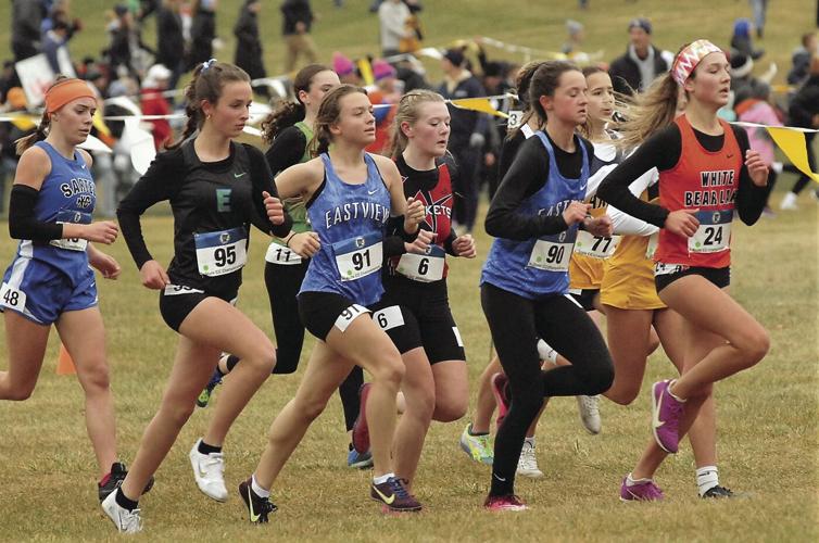 Cross country: Eastview, Eagan girls teams compete at state | Sports | hometownsource.com