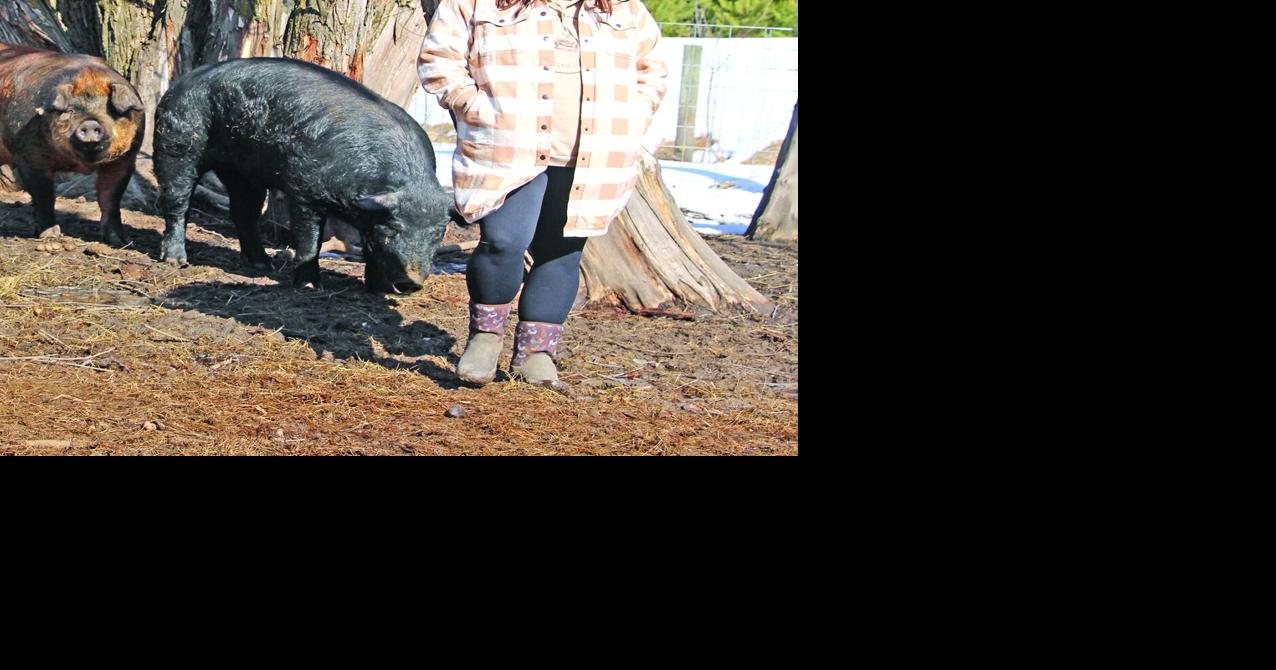 Mud, feed and family: Raising hogs at Scandia Valley Farms | Stories of ...
