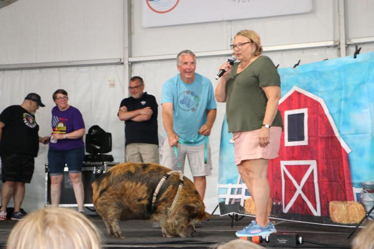 The 2024 Kiss the Pig winner is crowned at Dew Days | Farmington ...