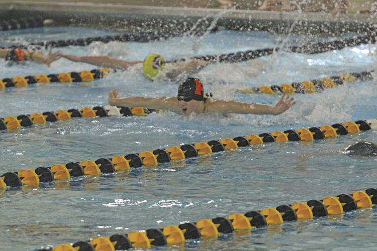 Tigers dive into sections, advance pair to State | Union Times ...