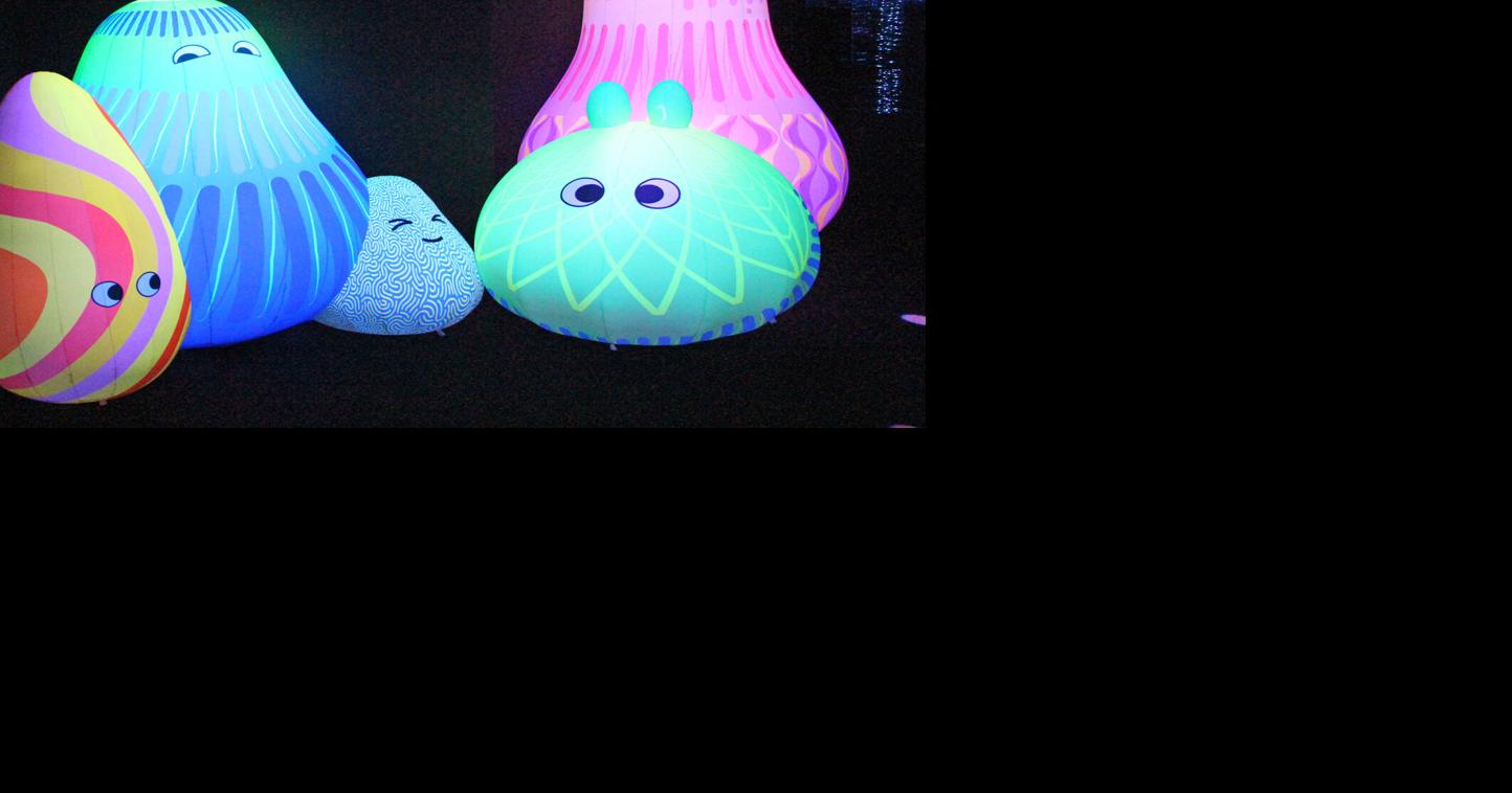 Colorful exhibit opens at MOA | Free | hometownsource.com