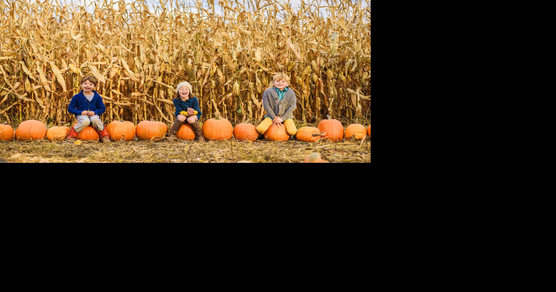 Fall Festival returns with corn mazes, pumpkins, farm fun | Monticello ...