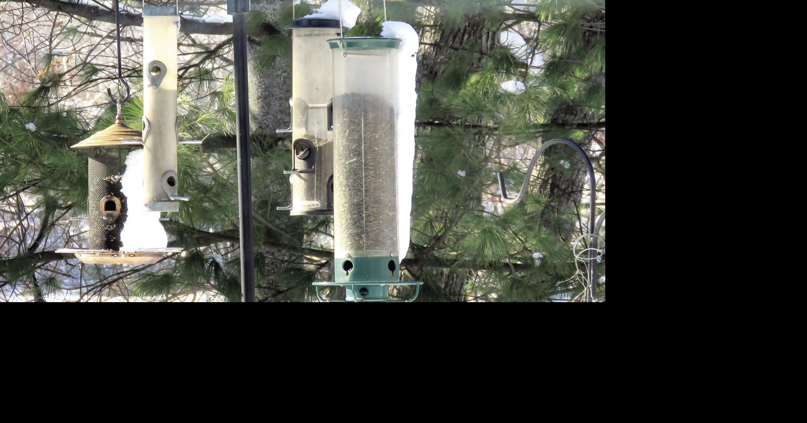 Lake life: It’s the wind effect | Stillwater | hometownsource.com