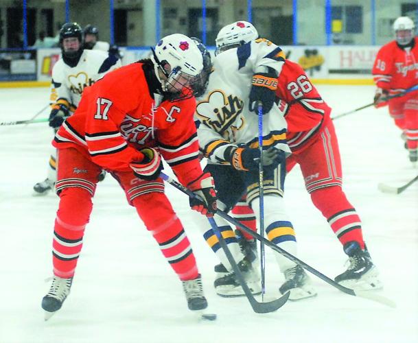 Goal in final seconds extends Tigers’ win streak | Sports ...