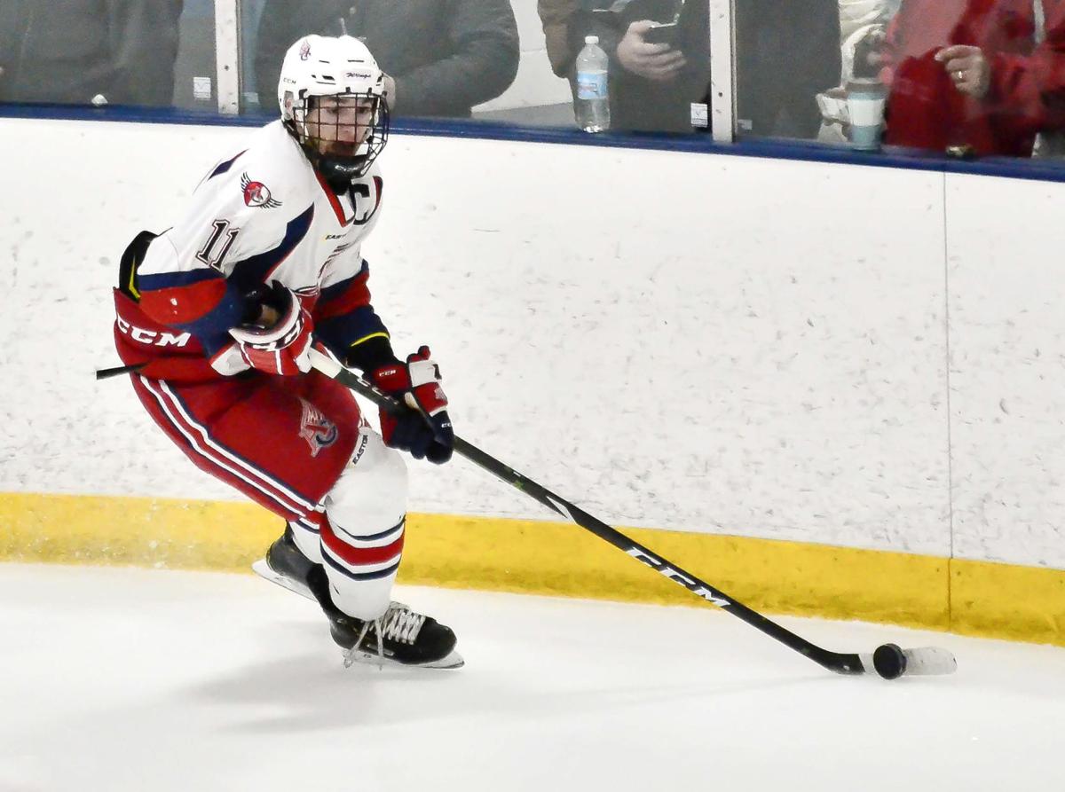 Armstrong/Cooper boys hockey: Three Wings make all-conference squad ...