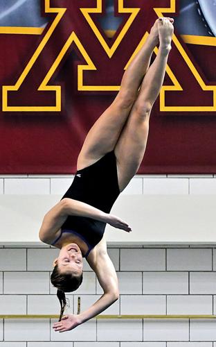 State champions lead All-Lake swim team | Sports | hometownsource.com