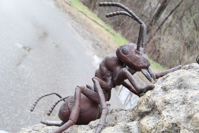 Big Bugs! invade Minnesota Zoo | Arts & Entertainment | hometownsource.com