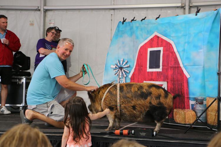 The 2024 Kiss the Pig winner is crowned at Dew Days | Farmington ...