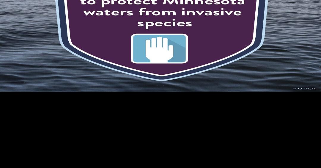 Take the pledge to prevent aquatic invasive species spread | Public ...