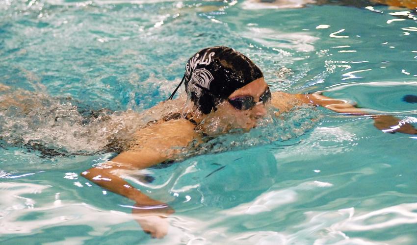 Girls Swimming and Diving: Blaine's Stark, Anoka's Diehl lead area ...