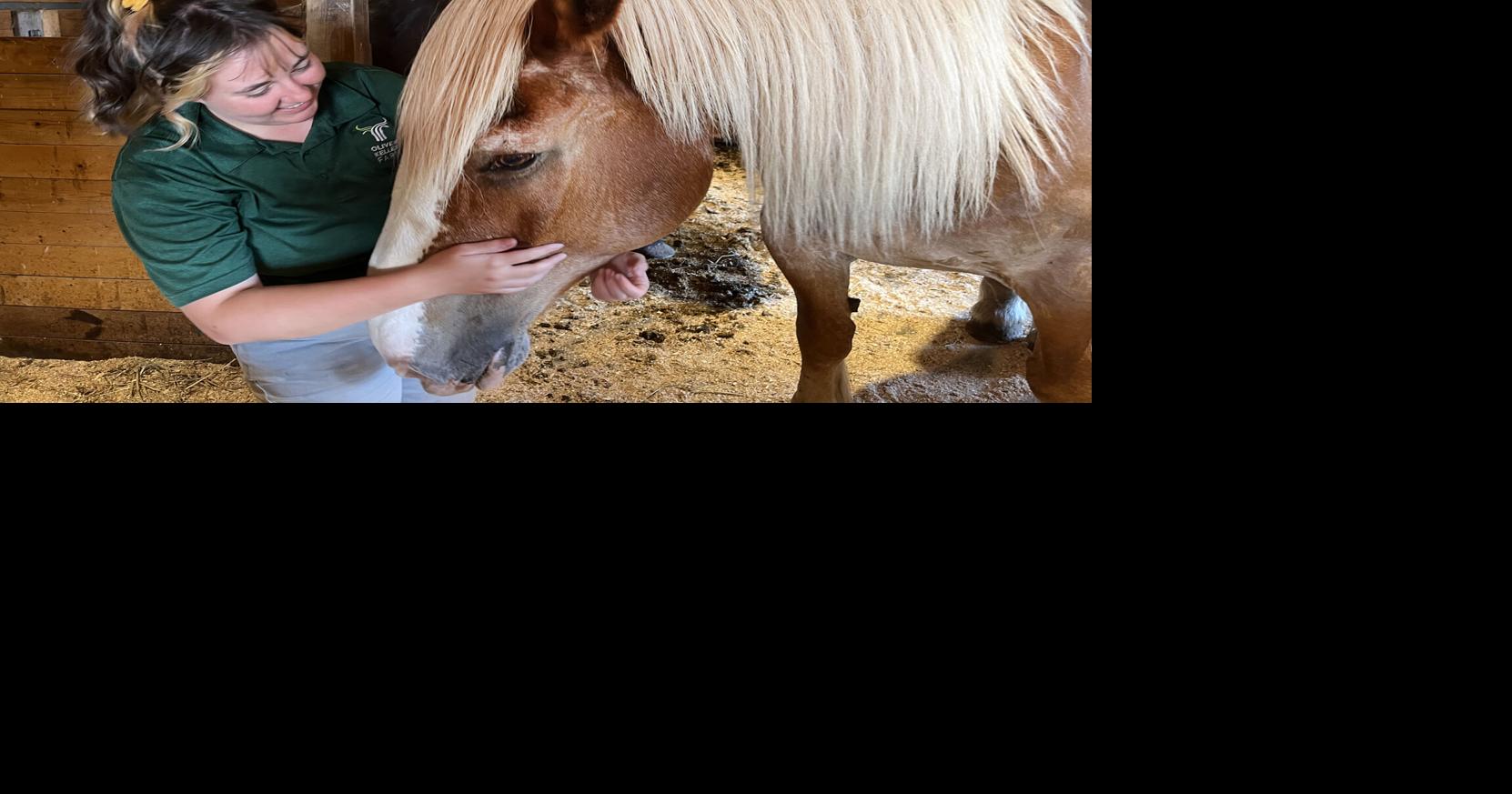 Kelley Farm animal handler brought 'horse sense' to the job | Elk River ...