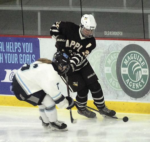 Tigers, Irish earn top seeds in girls hockey playoffs | Sports ...