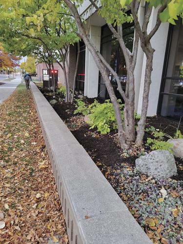 The board of the Friends of the Hopkins Library gave away hundreds of ...