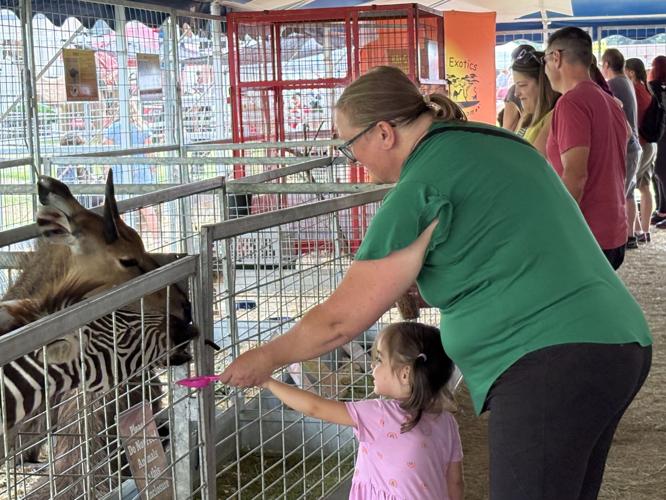 Fairgoers flock to exotic zoo at Dakota County Fair | Free ...