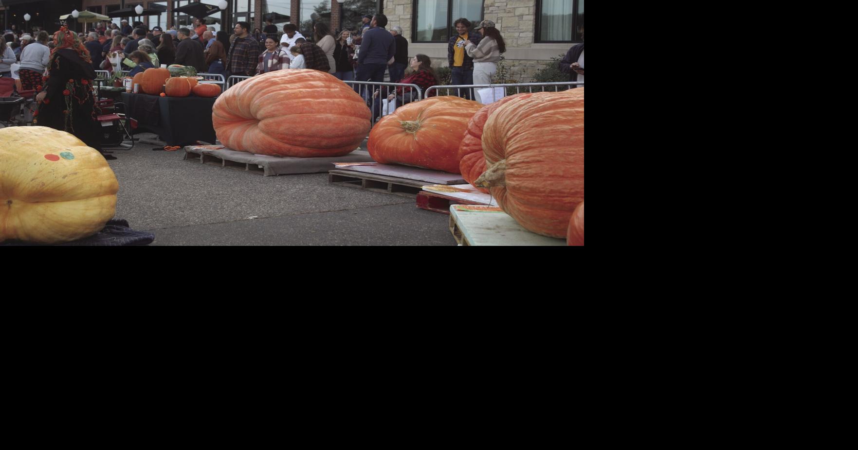 Giant pumpkins and fall weather enjoyed at Harvest Fest | Local News ...