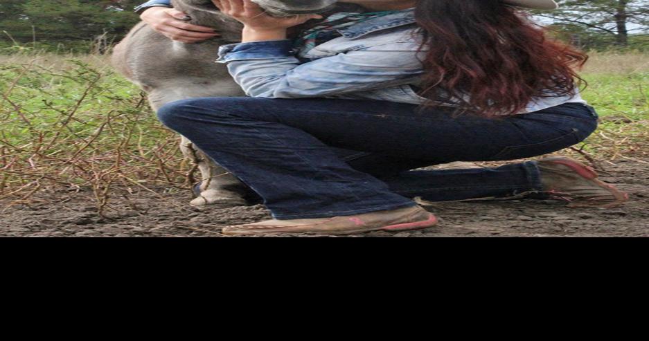 Retired rodeo donkey finds fame on Tik Tok | Morrison County Record ...