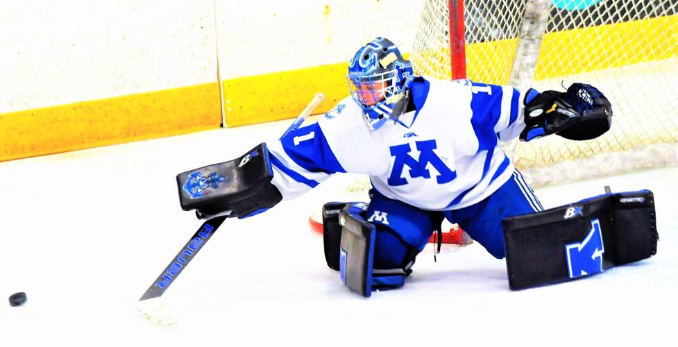 Minnetonka, Holy Family advance to Section 2AA hockey finals | Sports ...
