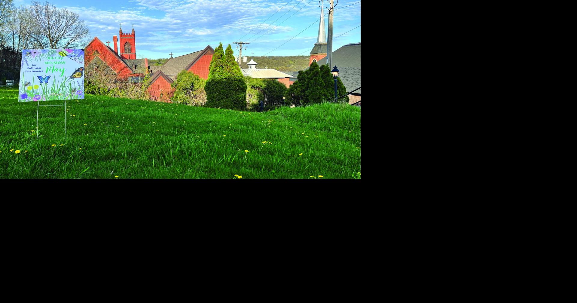 No Mow May and Slow Mow Summer | Local News | hometownsource.com