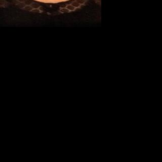 Diane K. Rau | Obituaries | hometownsource.com