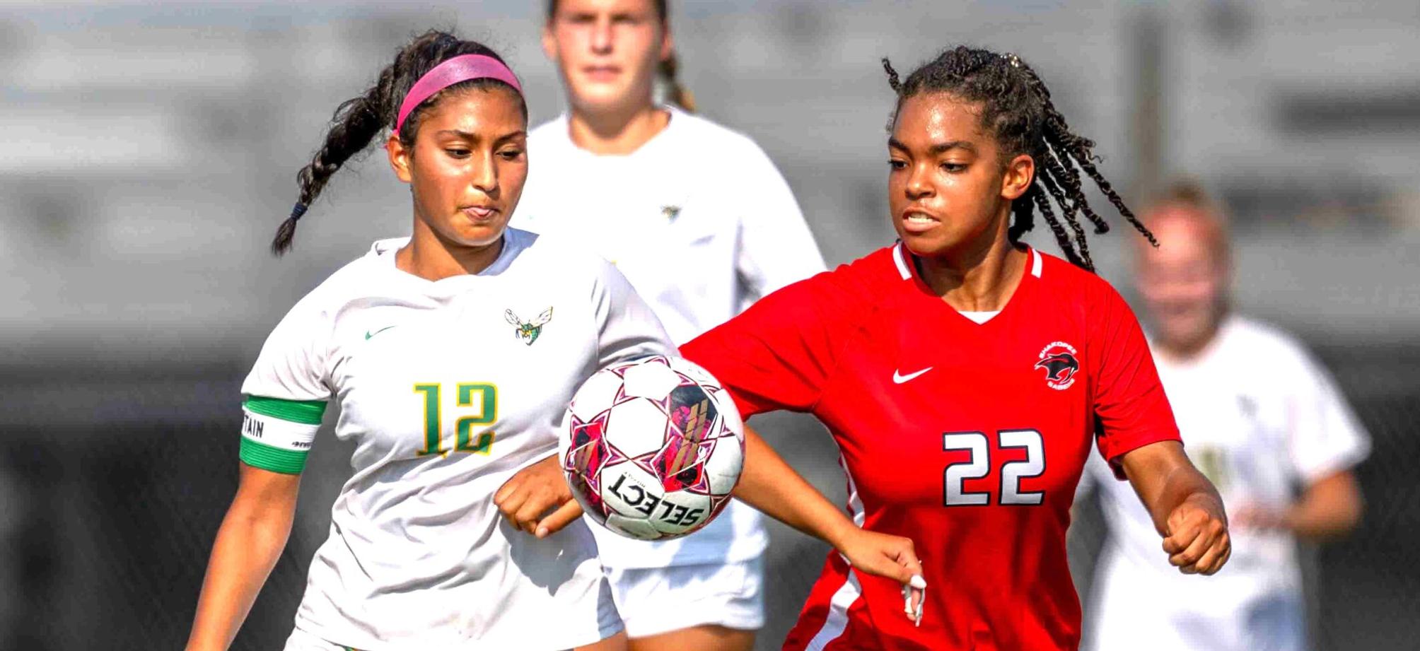 Edina girls soccer team is a perfect 15-0-0 | Sports | hometownsource.com