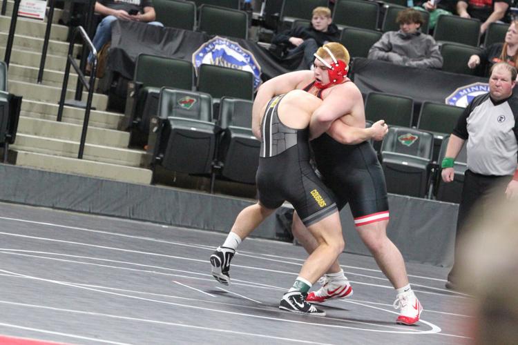 Princeton's Alayna Johnson finishes third at state wrestling meet ...